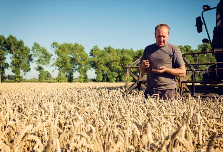 Our Company - Life Health Foods